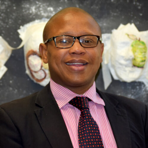 Thebe Morake - Alma Advisory Group